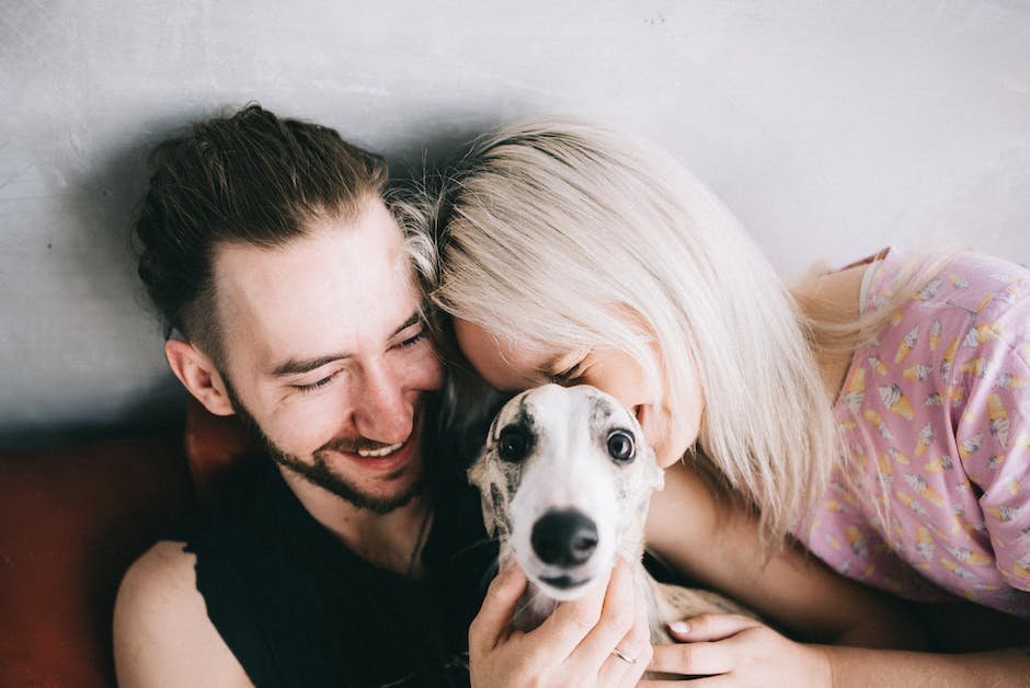 What are dominant and recessive dog traits? - factstraits.com