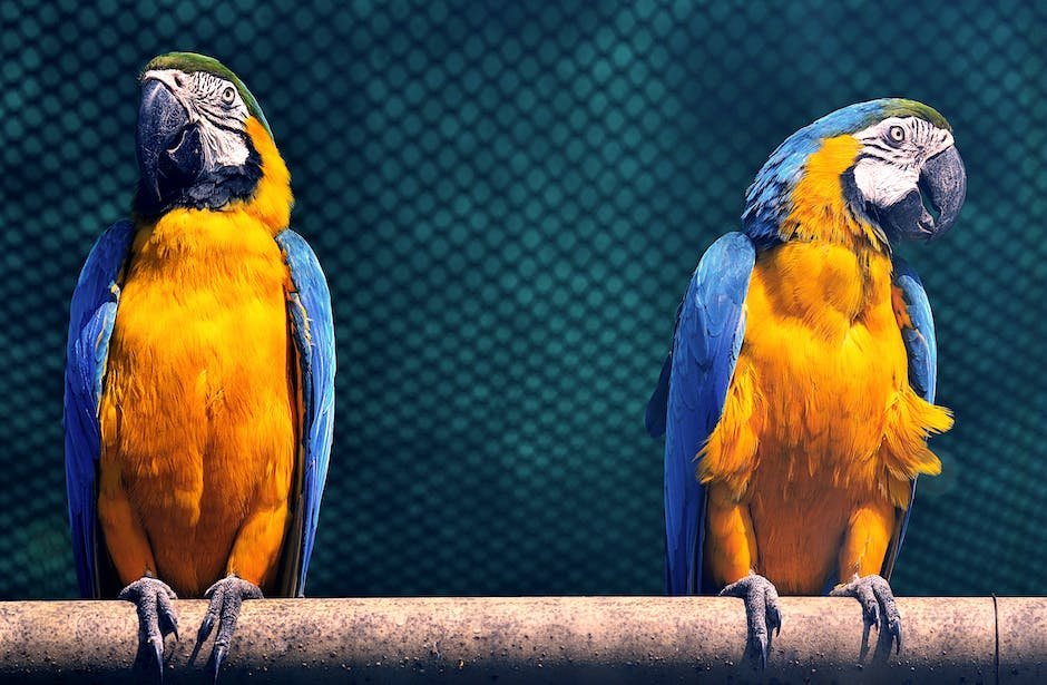 Animal Traits - factstraits.com